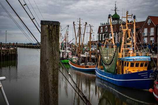 Angelkutter Bilder – Durchsuchen 9,703 Archivfotos, Vektorgrafiken und ...