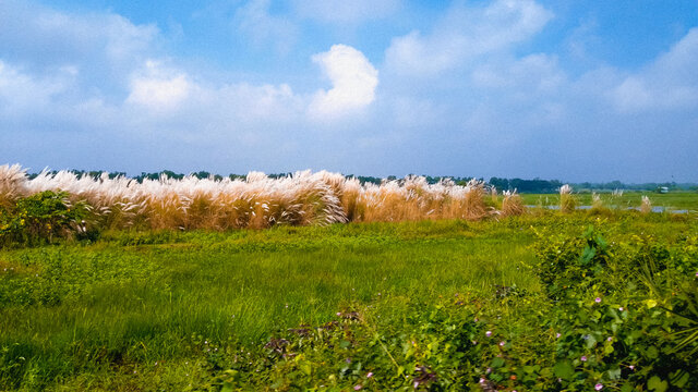 Kashful Images – Browse 279 Stock Photos, Vectors, and Video | Adobe Stock