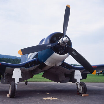 「Gull-Wing」の写真素材 | 329件の無料イラスト画像 | Adobe Stock