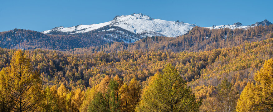 Taiga bilder – Bläddra bland 126,286 stockfoton, vektorer och videor ...