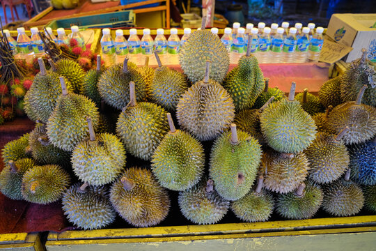 รูปภาพMusang – เลือกดูภาพถ่ายสต็อก เวกเตอร์ และวิดีโอ1,036 | Adobe Stock