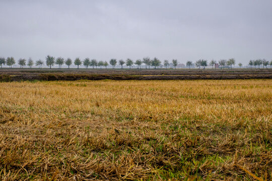 "Campi Coltivati" Images – Browse 691 Stock Photos, Vectors, and Video ...