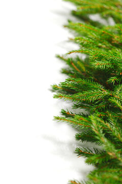 Imágenes de Banch: descubre bancos de fotos, ilustraciones, vectores y ...