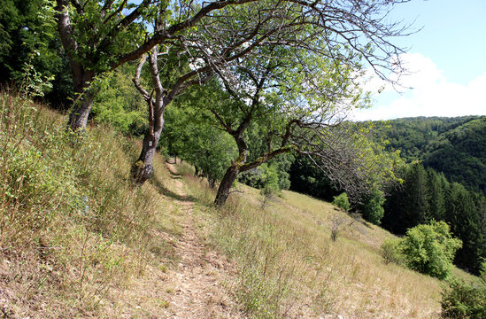 รูปภาพSteiler – เลือกดูภาพถ่ายสต็อก เวกเตอร์ และวิดีโอ314 | Adobe Stock