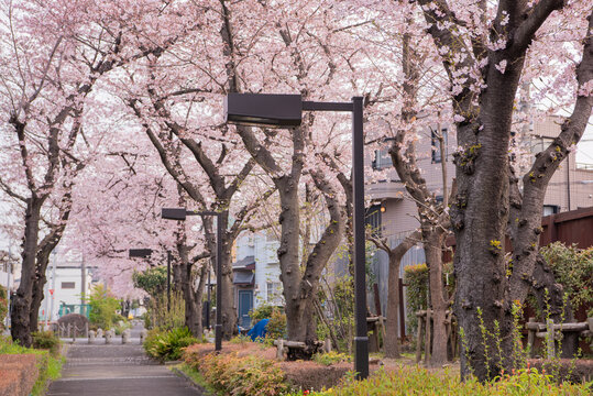 戸田市 Images – Browse 367 Stock Photos, Vectors, and Video | Adobe Stock