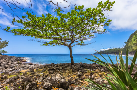 รูปภาพBadamier – เลือกดูภาพถ่ายสต็อก เวกเตอร์ และวิดีโอ101 | Adobe Stock
