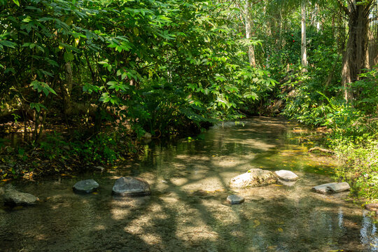 Manantial Images – Browse 1,743 Stock Photos, Vectors, and Video ...