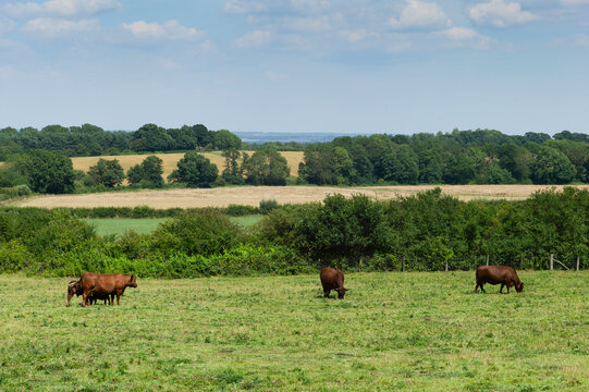 Kent Bilder – Durchsuchen 34,723 Archivfotos, Vektorgrafiken und Videos ...