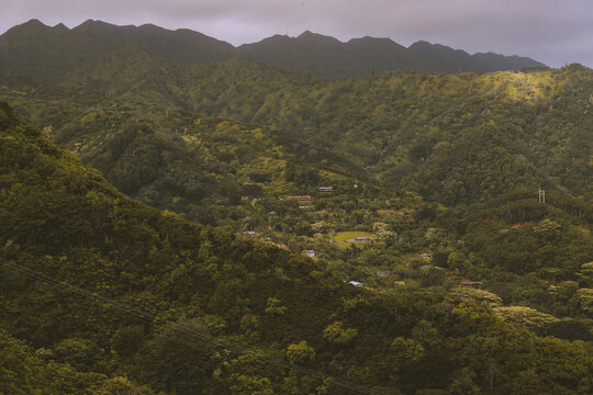 「Palolo」の写真素材 | 20件の無料イラスト画像 | Adobe Stock