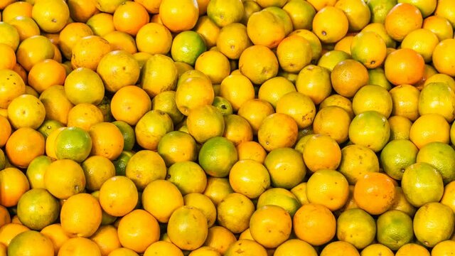 Imagens de Laranjas – Explore Fotografias do Stock, Vetores e Vídeos de ...
