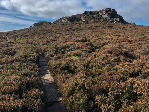 「Simonside」の写真素材 | 121件の無料イラスト画像 | Adobe Stock