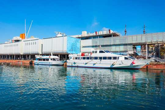 Renzo bilder – Bläddra bland 787 stockfoton, vektorer och videor ...