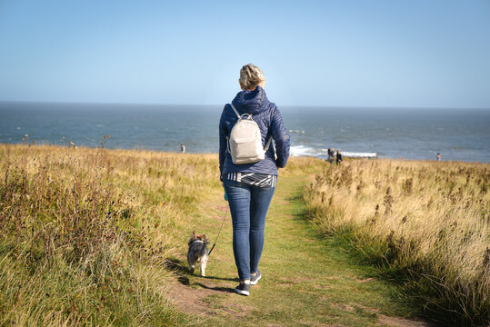 Finley Bilder – Durchsuchen 228 Archivfotos, Vektorgrafiken und Videos ...