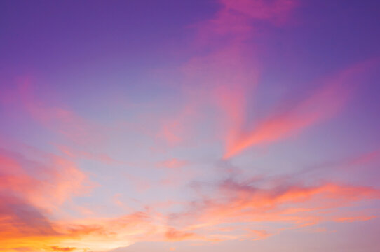 "Soft Image" Images – Browse 41 Stock Photos, Vectors, and Video ...