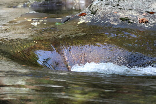 Whir Billeder – Gennemse 843 stockfotos, vektorer og videoer | Adobe Stock