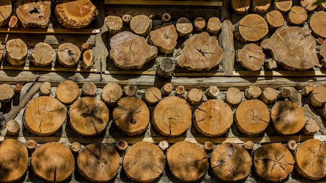 Log End"」の写真素材 | 218件の無料イラスト画像 | Adobe Stock