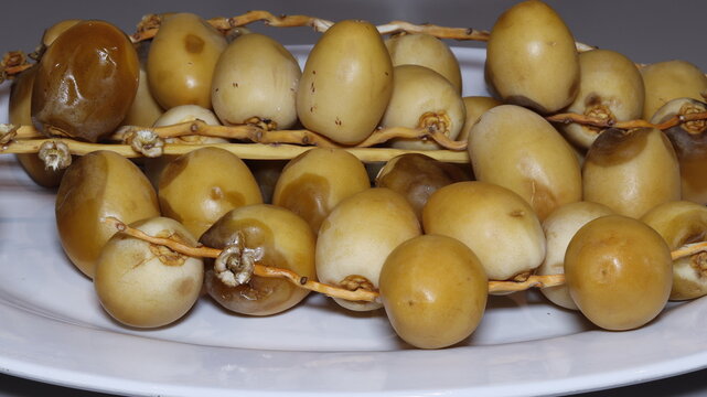 รูปภาพ"Fresh Dates" – เลือกดูภาพถ่ายสต็อก เวกเตอร์ และวิดีโอ224 | Adobe ...