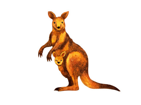 Red Triangle With Kangaroo Inside