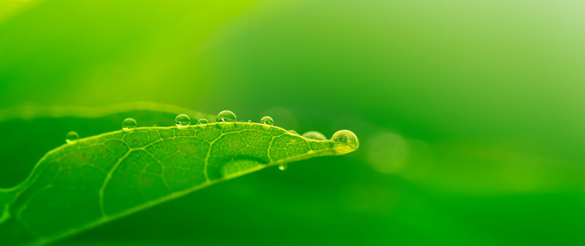 Purity Images – Browse 1,190,536 Stock Photos, Vectors, and Video ...