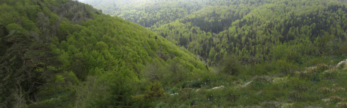 รูปภาพHayas – เลือกดูภาพถ่ายสต็อก เวกเตอร์ และวิดีโอ1,296 | Adobe Stock