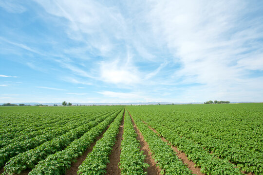 Free Field Images – Browse 23,558 Free Stock Photos, Vectors, and Video ...