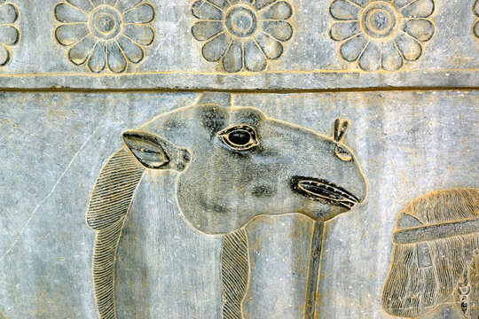Takht-E-Jamshid Images – Browse 7,046 Stock Photos, Vectors, and Video ...