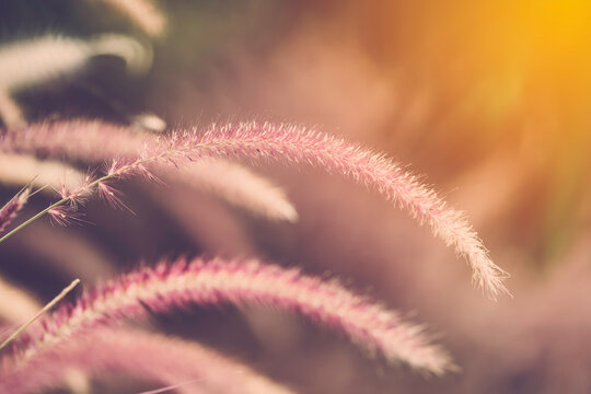 Attactive bilder – Bläddra bland 1,482 stockfoton, vektorer och videor ...