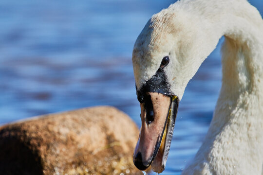 Kaltene Bilder – Durchsuchen 250 Archivfotos, Vektorgrafiken und Videos ...