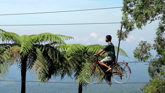 Imágenes de Canopi: descubre bancos de fotos, ilustraciones, vectores y ...