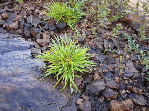 Dube Images – Browse 32 Stock Photos, Vectors, and Video | Adobe Stock