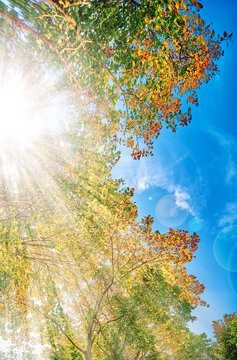 "Sun Glare" Images – Browse 7,577 Stock Photos, Vectors, and Video ...