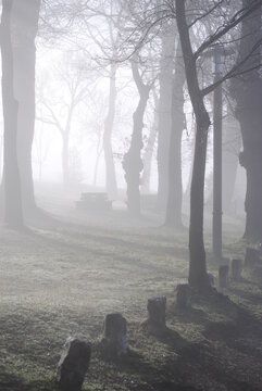 Tenebroso bilder – Bläddra bland 1,235 stockfoton, vektorer och videor ...