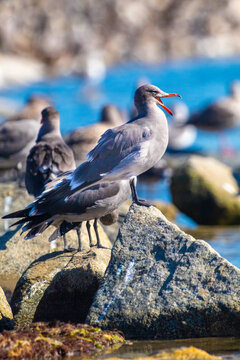รูปภาพSlough – เลือกดูภาพถ่ายสต็อก เวกเตอร์ และวิดีโอ38,766 | Adobe Stock