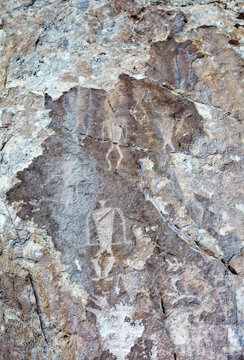 Sagan-Zaba Images – Browse 43 Stock Photos, Vectors, and Video | Adobe ...