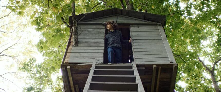 "Tree House" Images – Browse 18,757 Stock Photos, Vectors, and Video ...