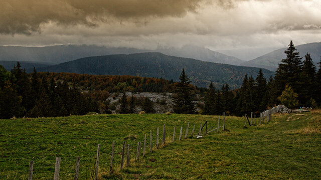 รูปภาพMaussade – เลือกดูภาพถ่ายสต็อก เวกเตอร์ และวิดีโอ411 | Adobe Stock
