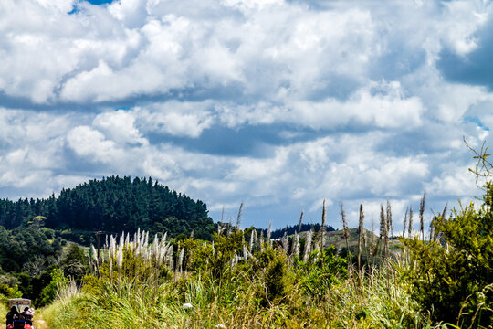 รูปภาพDargaville – เลือกดูภาพถ่ายสต็อก เวกเตอร์ และวิดีโอ104 | Adobe Stock