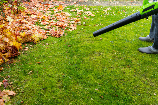 Leafblower Bilder – Durchsuchen 2,331 Archivfotos, Vektorgrafiken und Videos | Adobe Stock