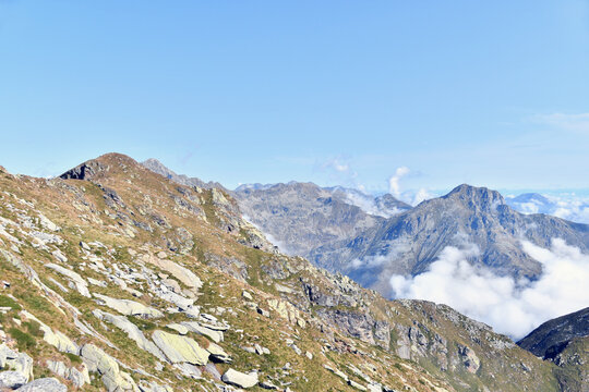 รูปภาพMucrone – เลือกดูภาพถ่ายสต็อก เวกเตอร์ และวิดีโอ121 | Adobe Stock