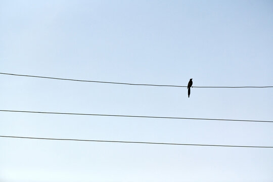 รูปภาพUnassertive – เลือกดูภาพถ่ายสต็อก เวกเตอร์ และวิดีโอ133 | Adobe Stock