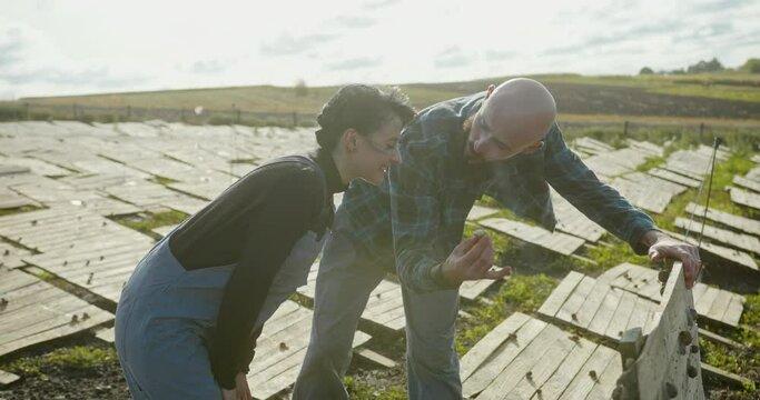 Heliciculture Images – Browse 2,286 Stock Photos, Vectors, and Video ...