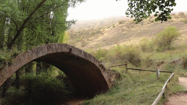Imágenes de Carrascal: descubre bancos de fotos, ilustraciones ...