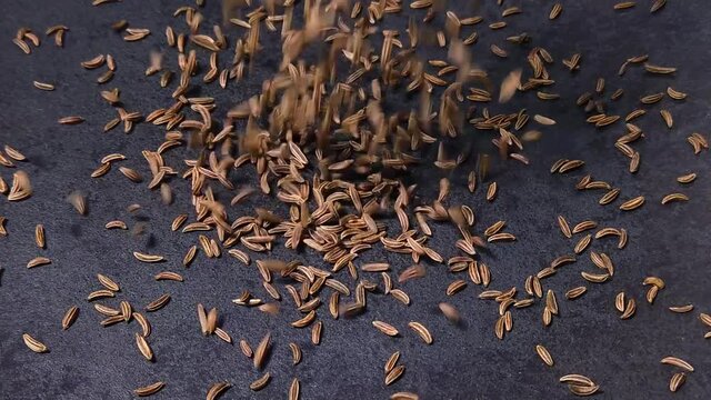 Kummel Images – Browse 305 Stock Photos, Vectors, and Video | Adobe Stock