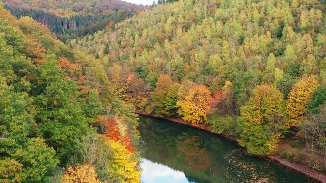 Obrazy ("Autumn Video") — zdjęcia, wektory i wideo bez tantiem (93 ...