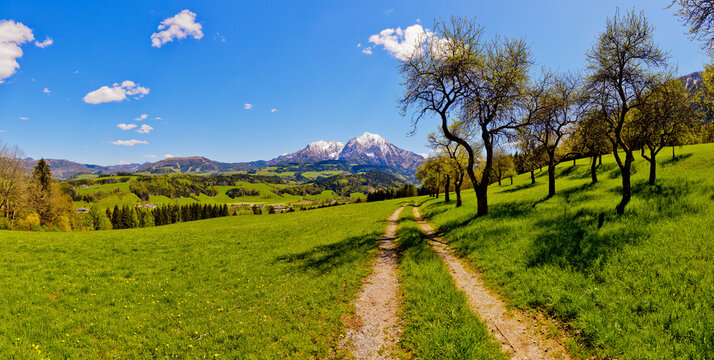 รูปภาพ"Grosser – เลือกดูภาพถ่ายสต็อก เวกเตอร์ และวิดีโอ6,886 | Adobe Stock