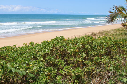 "Desert Beach" Images – Browse 1,284 Stock Photos, Vectors, and Video ...