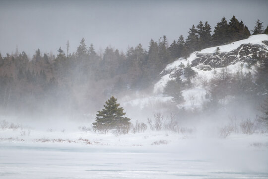 Blustery Images – Browse 16,328 Stock Photos, Vectors, and Video ...