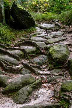 Broum Images – Browse 14 Stock Photos, Vectors, and Video | Adobe Stock