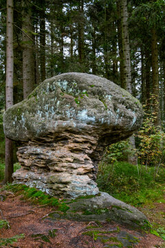 Broum Images – Browse 14 Stock Photos, Vectors, and Video | Adobe Stock