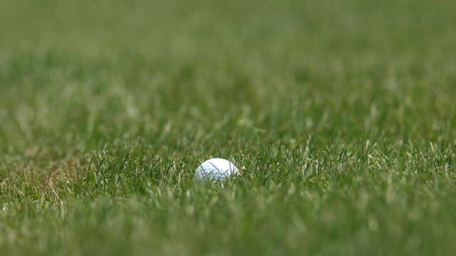 Bulger Images – Browse 122 Stock Photos, Vectors, and Video | Adobe Stock